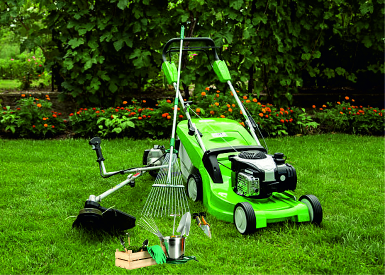 Services | PlantsOnline